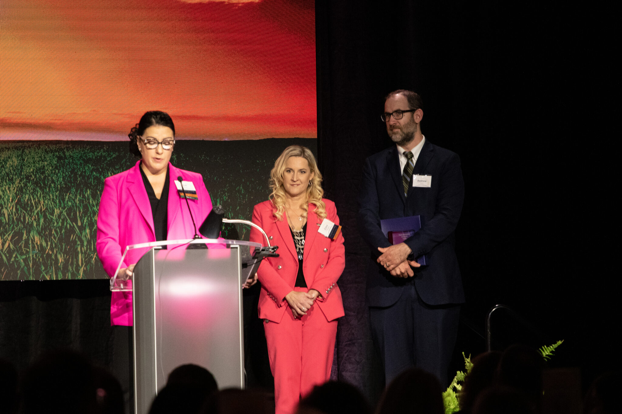 2023 Jim Vigness Peacemaker Award recipient | CVIC